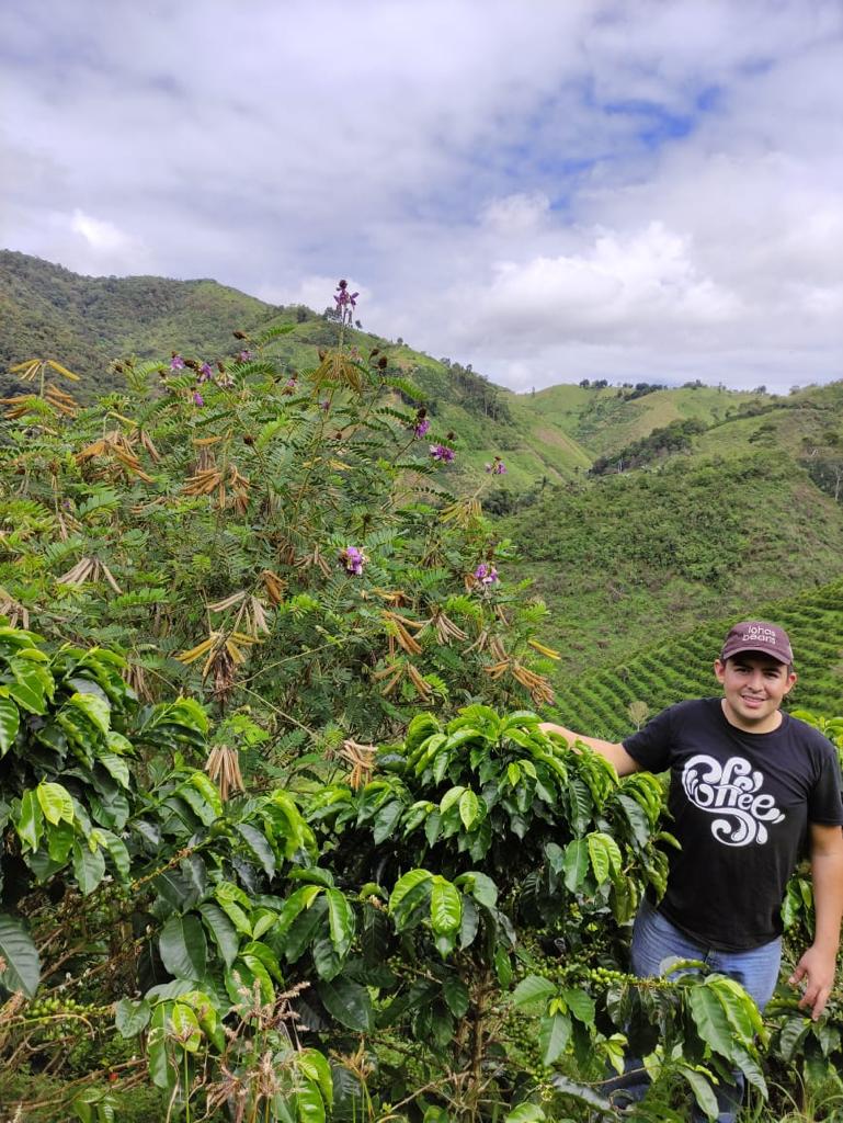 [Green Bean] Colombia Las Flores Chiroso Natural – Dom's Specialty Coffee