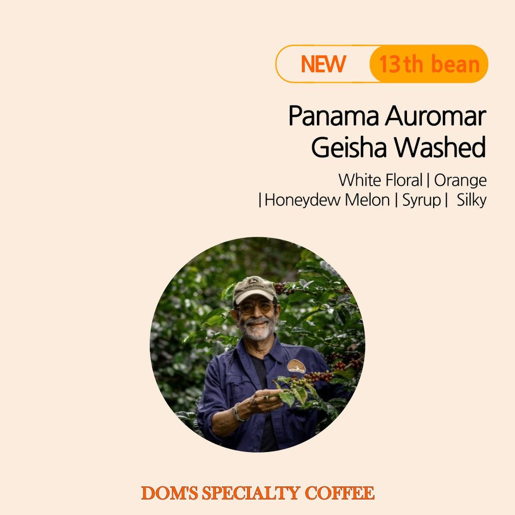 [Green Bean] Panama Auromar Geisha Washed Firestone – Dom's Specialty ...