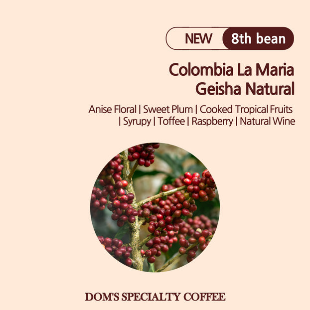 [Green Bean] Colombia La Maria Geisha Natural – Dom's Specialty Coffee