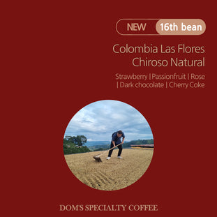 [Green Bean] Colombia Las Flores Chiroso Natural – Dom's Specialty Coffee